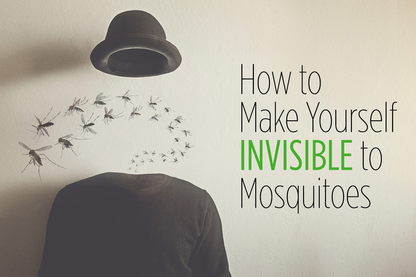 How to Make Yourself Invisible to Mosquitoes – Bug Bite Thing