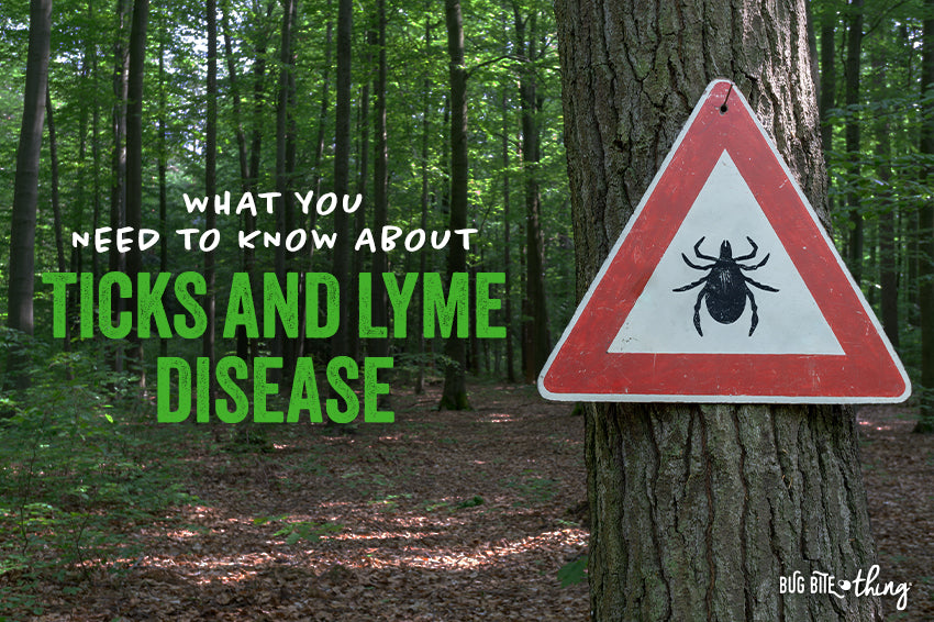 What You Need to Know About Ticks and Lyme Disease – Bug Bite Thing