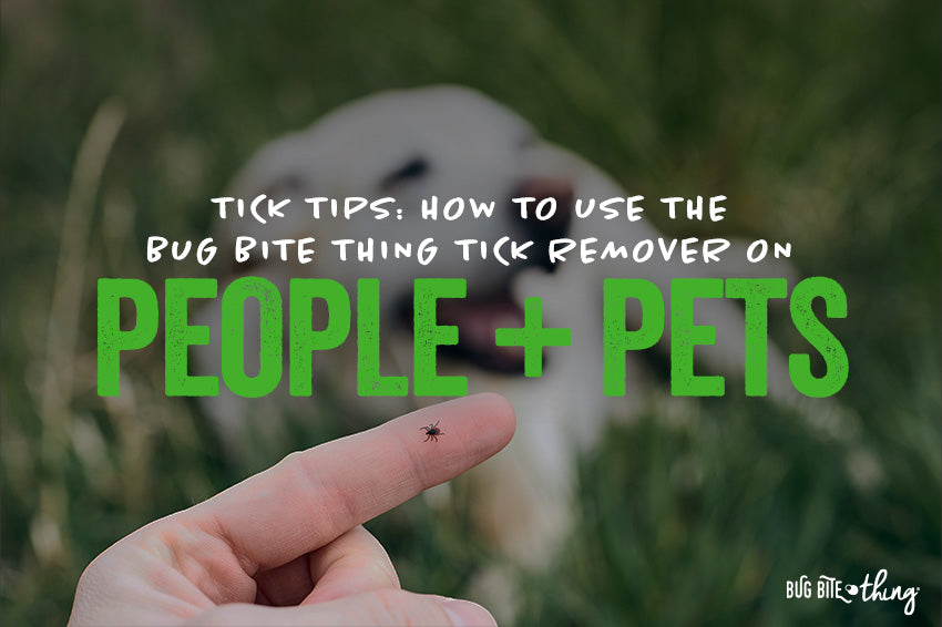 Tick Tips: How to Use the Bug Bite Thing Tick Remover on People and Pe