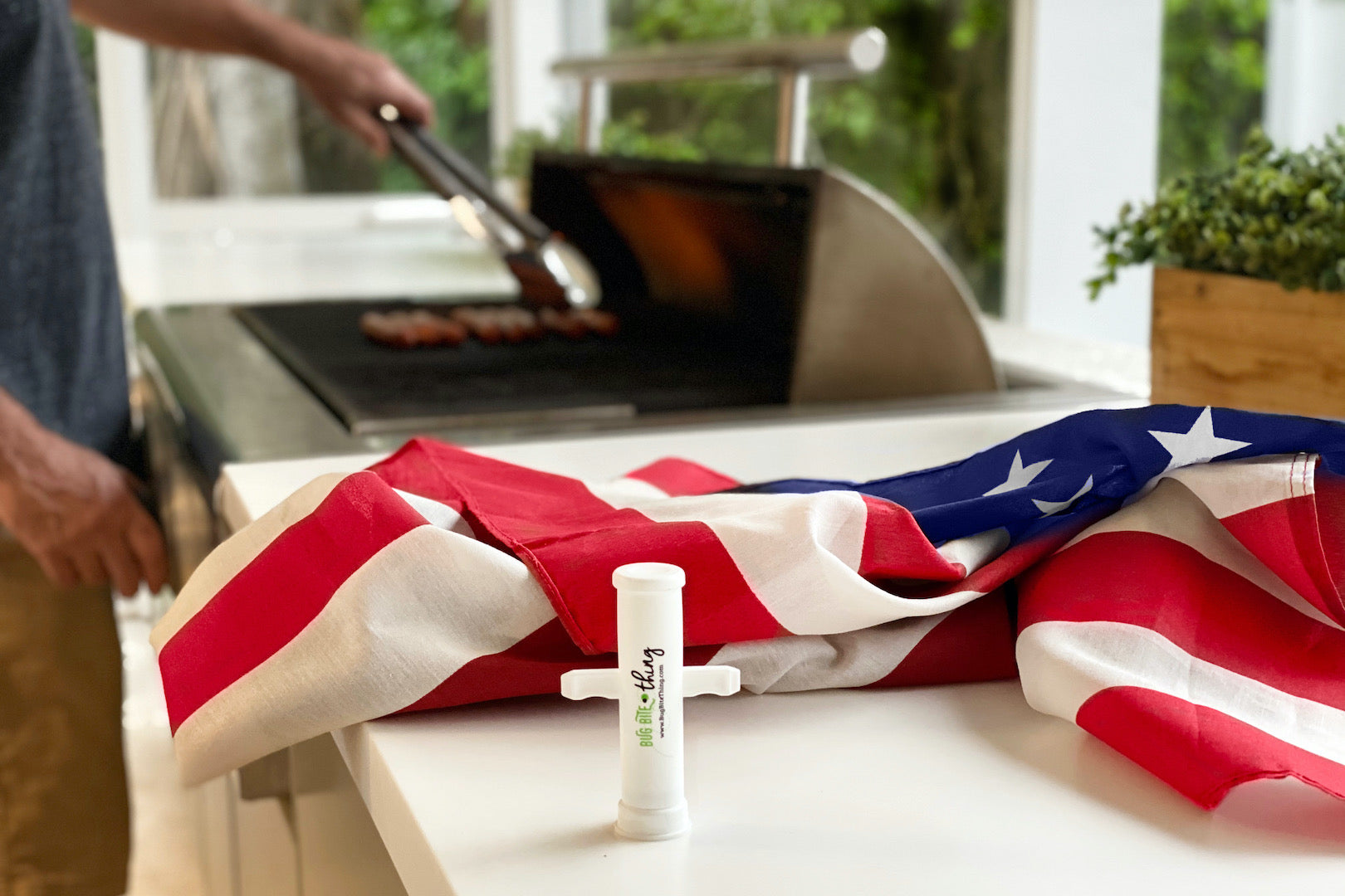 4 Fun Ideas for Celebrating Labor Day – Bug Bite Thing