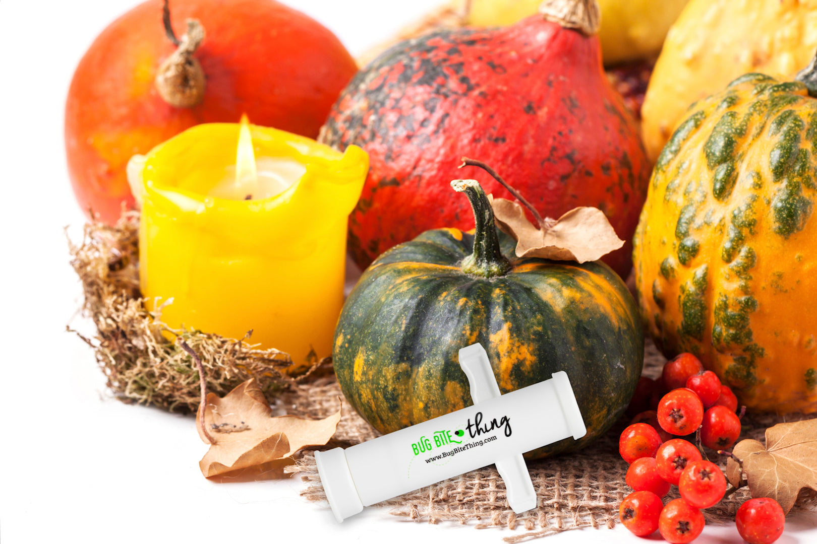 Fall Into Fall: 10 Autumn Activities to Kick off the Season – Bug Bite ...