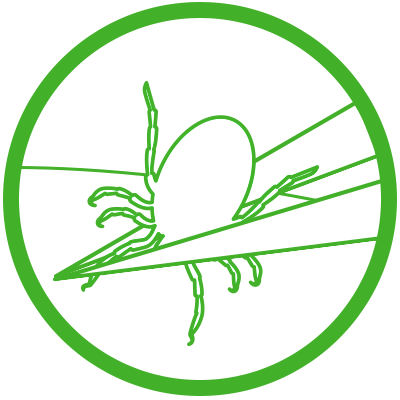 How It Works – Bug Bite Thing